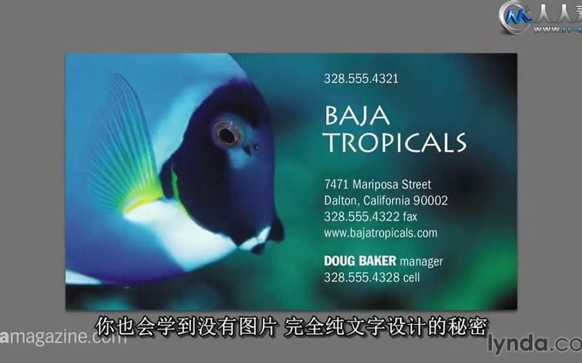 《平面设计美学理念视频教程》