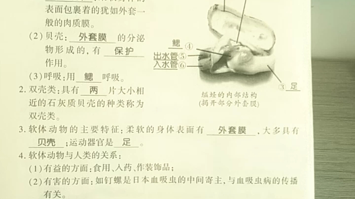 八年级上册人教版生物第五单元第一章第三节 软体动物和节肢动物 ...