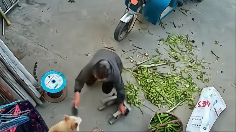 老人被宠物狗撕咬 手中握刀不舍得砍