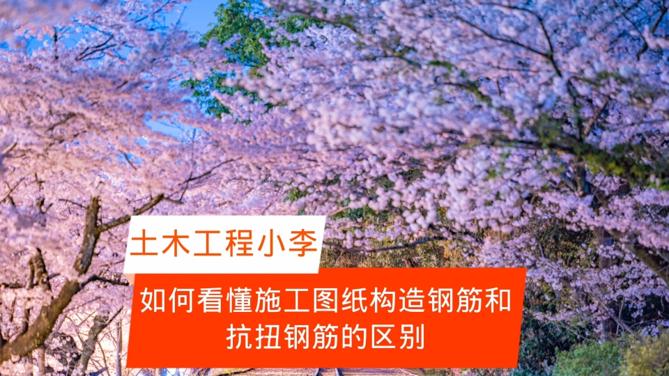 如何看懂施工图纸构造钢筋和抗扭钢筋的区别