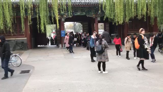 手机实拍 - 北大校园一角