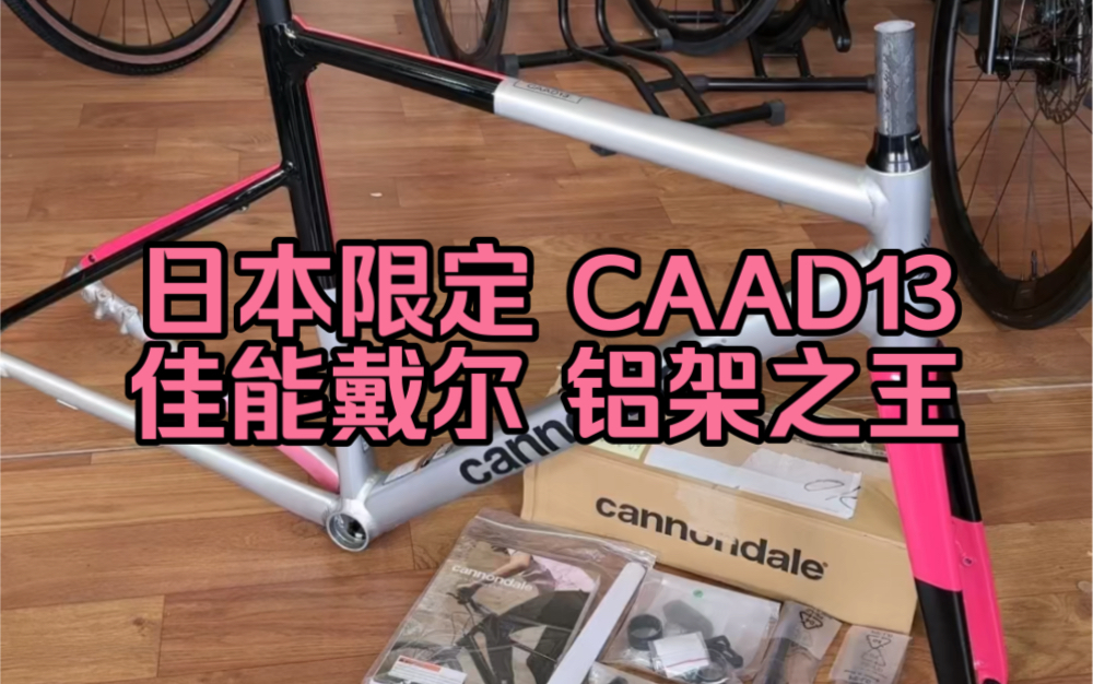 日本限定涂装 CAAD13 佳能戴尔 铝架之王 新款碟刹公路车架 码数51/54
