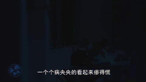 男子用人肉喂猫,细思极恐aaa