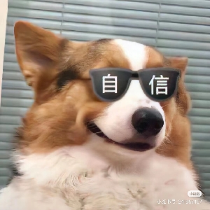 阿信带你看好房 