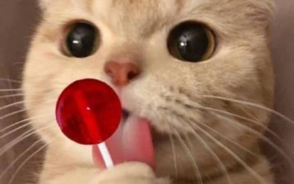 02第二讲由案例解析网络成瘾是什么 台湾柯慧贞 心理学戒网瘾治疗 ...