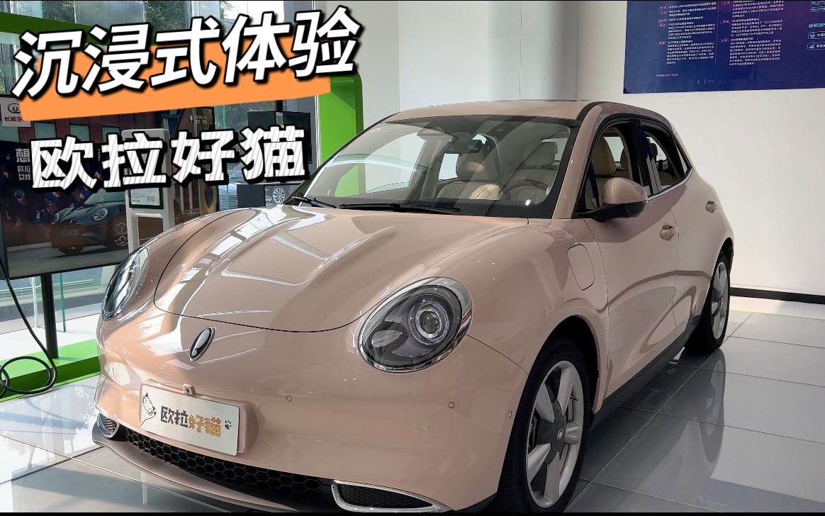 【道长试车】沉浸式体验 长城欧拉好猫 2022款 莫兰迪版400Km 尊贵型