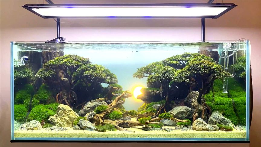 一米二鱼缸,草缸造景教程,简单易学