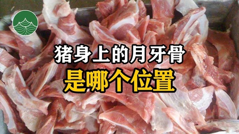 猪身上的月牙骨是哪个位置?