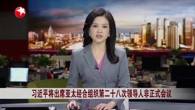 习近平将出席亚太经合组织第二十八次领导人非正式会议