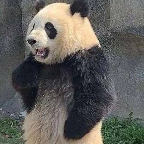 侯府二小姐 