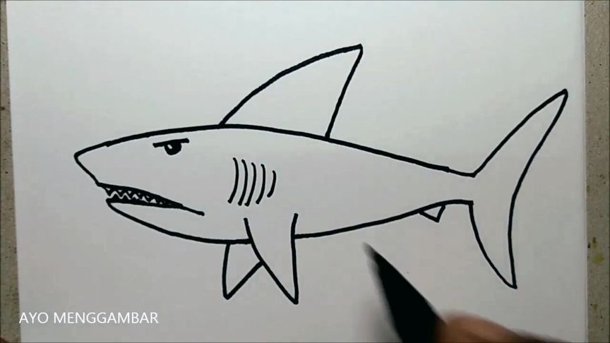 手绘鲨鱼,简笔画,喜欢和我一起画一画吧