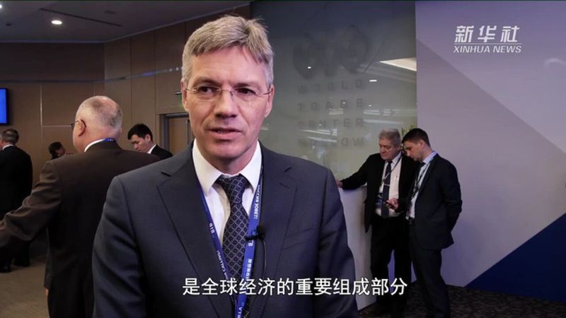 海外专家:中国经济是世界经济发展的重要推动力