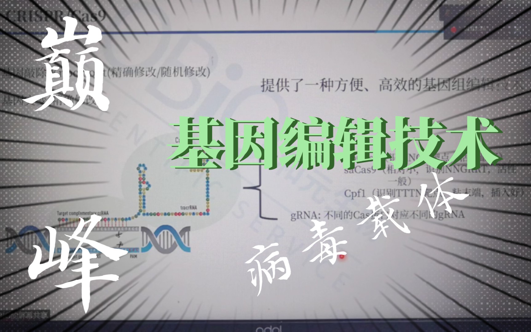 基因编辑技术小讲座