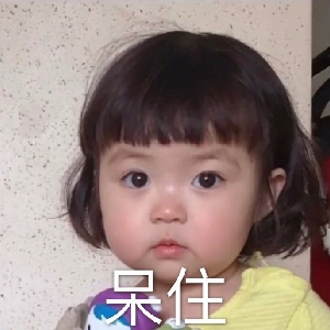 一只小噜 