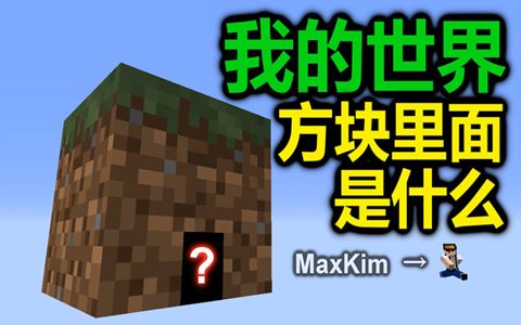 我的世界 - 方块的里面是什么?