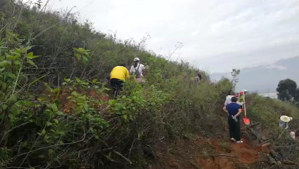 7月24日,凉山植树造林活动