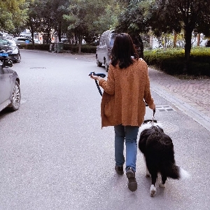 教书匠小语文 
