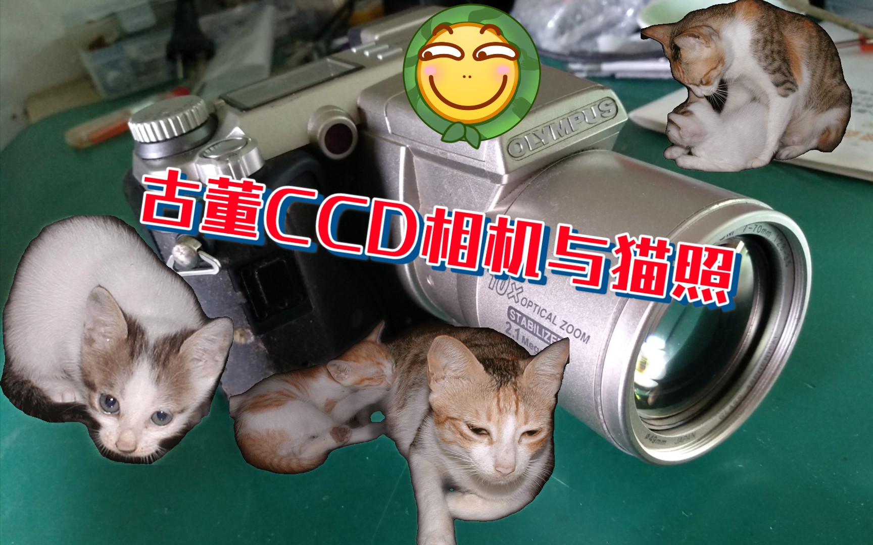 古董ccd相机与猫照 奥林巴斯c-2100实测复古视频