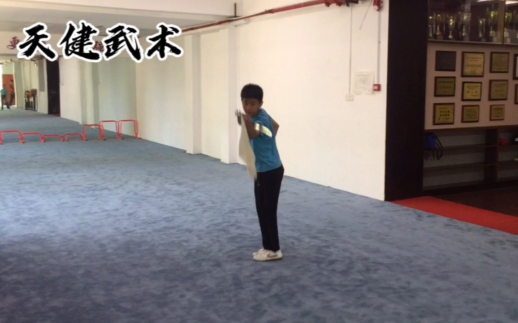 中国传统武术套路——刀术节选