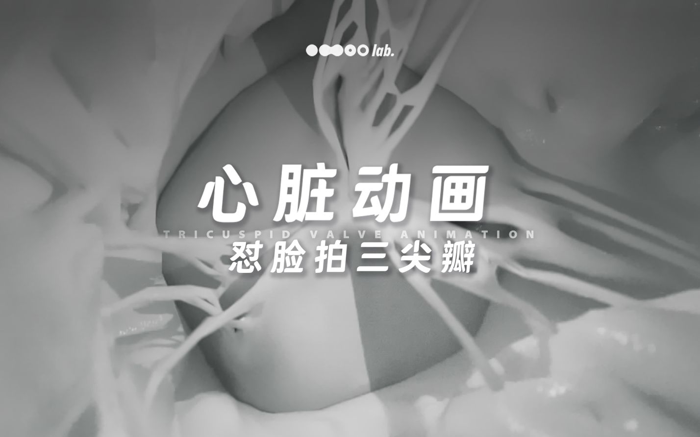 钻进心脏里看三尖瓣是怎么跳的