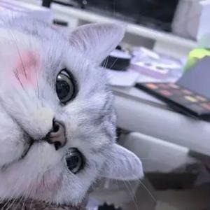 游戏突突突