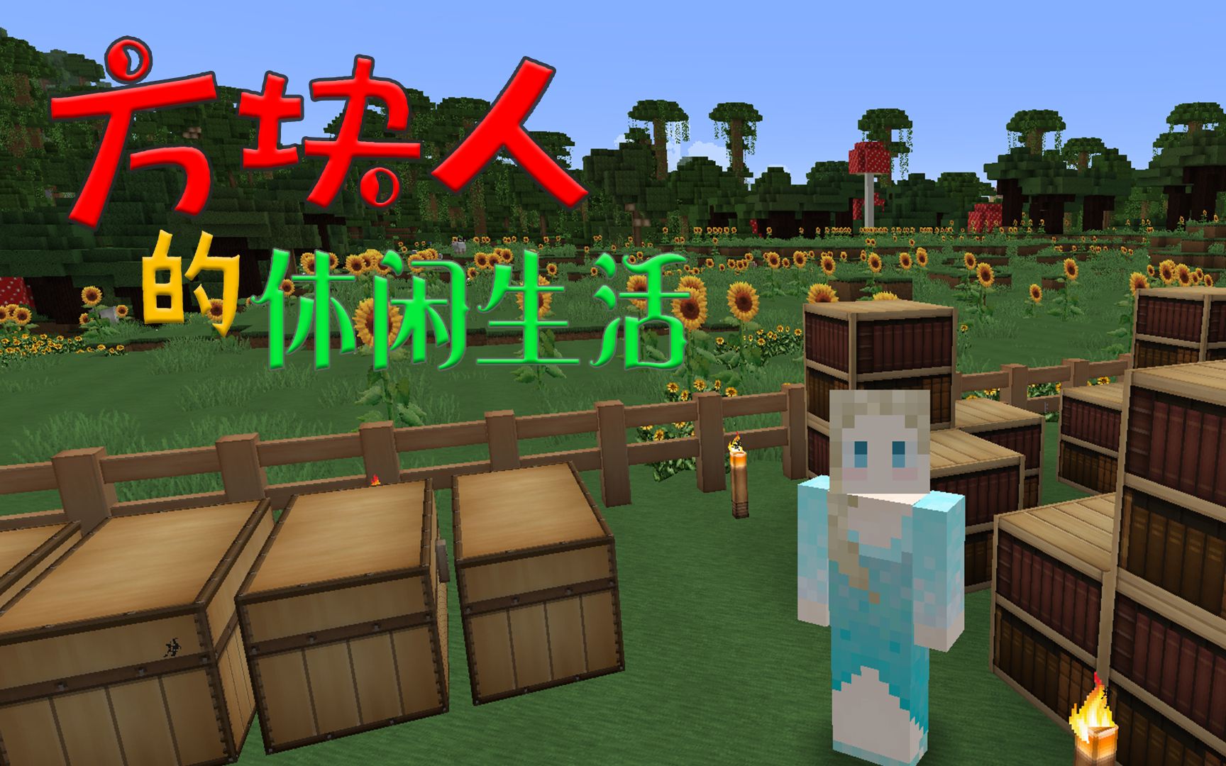 【方块人的休闲生活】第14期 TNT复制机