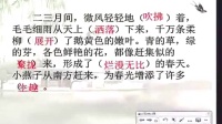 《燕子》课堂实录