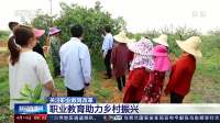 关注职业教育改革 职业教育助力乡村振兴