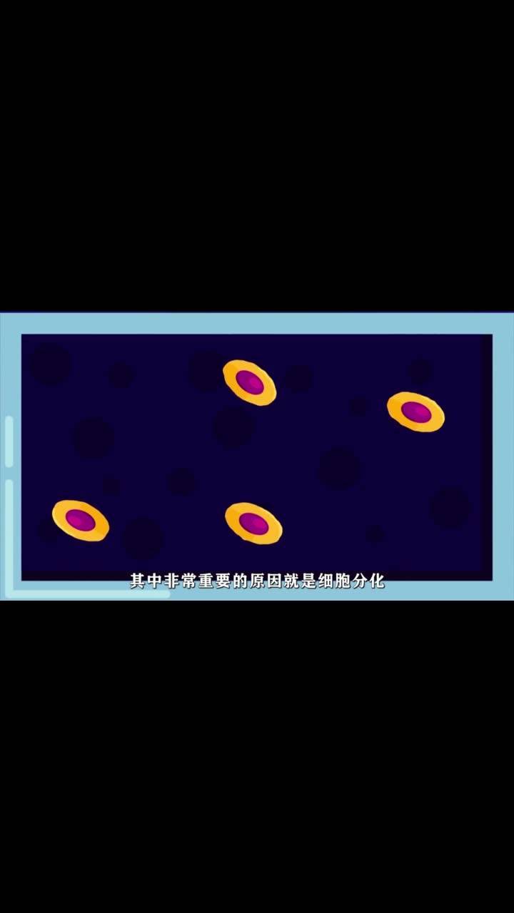 细胞分化:生物个体发育的基础