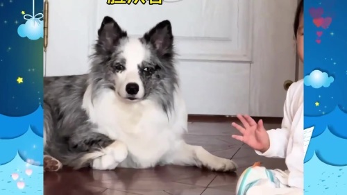 妈妈在无言的岁月里,意外先学会了如何模仿狗叫声