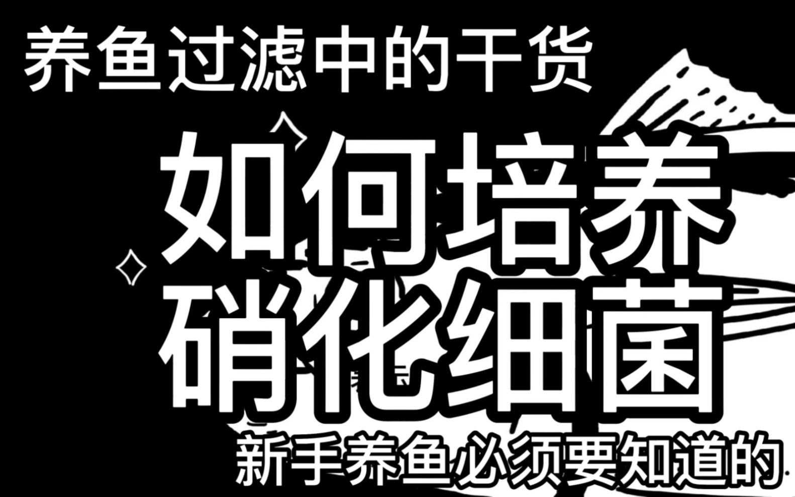 养鱼中最重要的一环,如何培养硝化细菌?要如何稳定过滤系统呢?#养鱼...