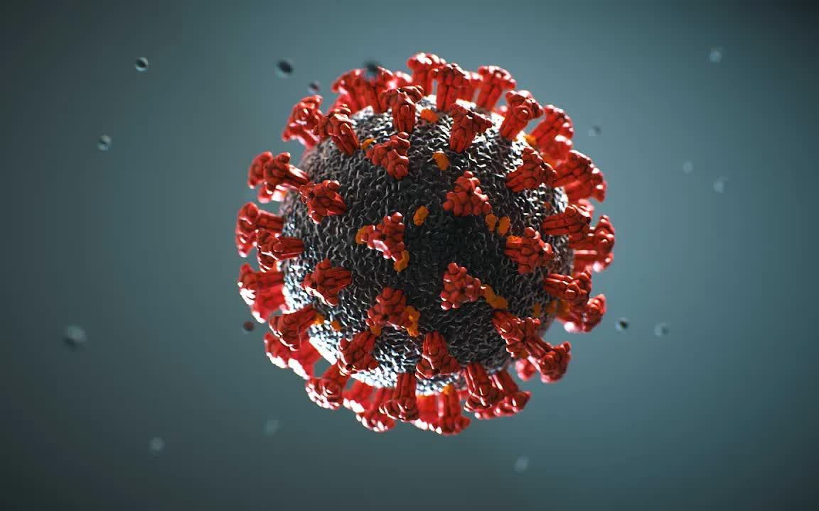 教你用C4D制作冠状病毒模型