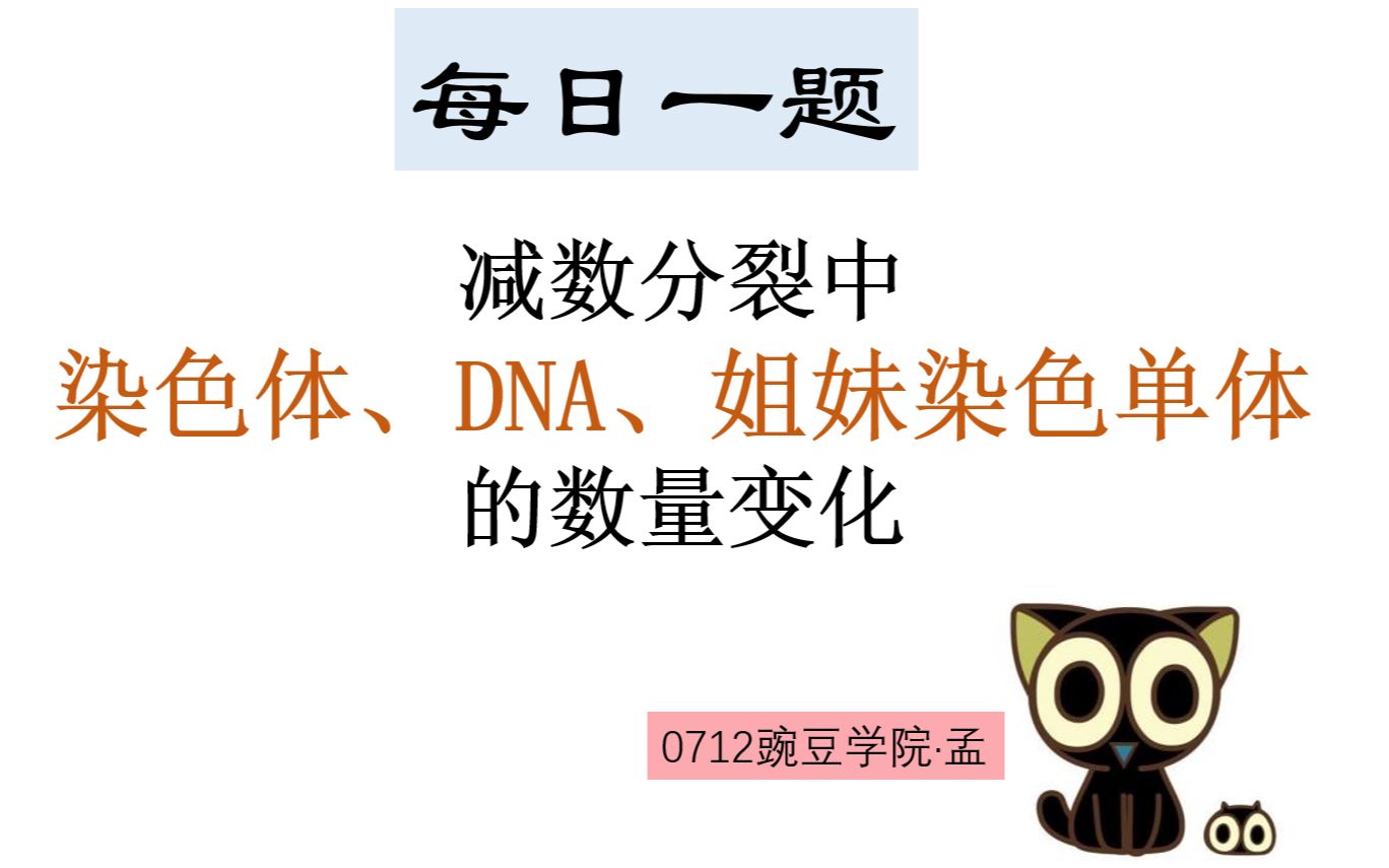 【高中生物 每日一题】0712减数分裂中DNA、染色体、姐妹染色单体...
