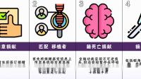 人体器官捐献的10个步骤