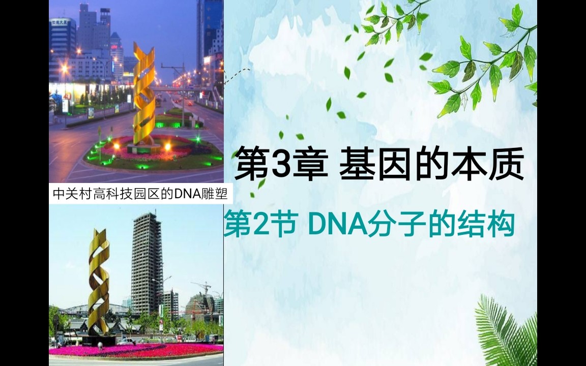 必修二3.2DNA分子的结构