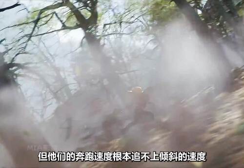 《大侦探皮卡丘》非常好看的一部奇幻冒险大片