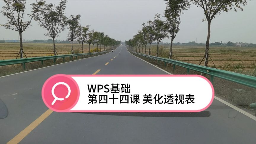 WPS表格 透视表(第四十四课 美化透视表)