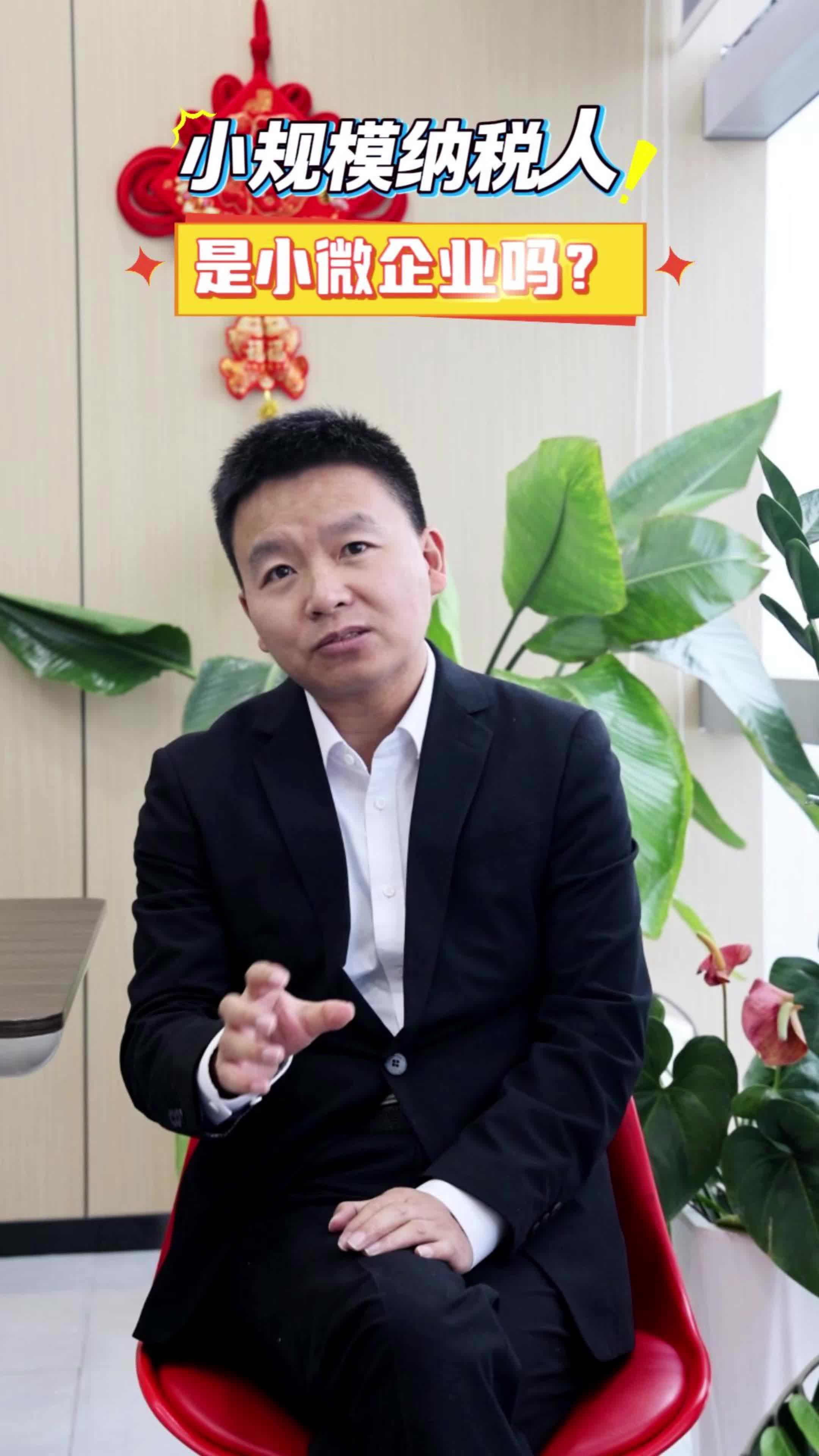 小规模纳税人是小微企业吗 小微企业纳税申报表#小规模纳税人#记账...