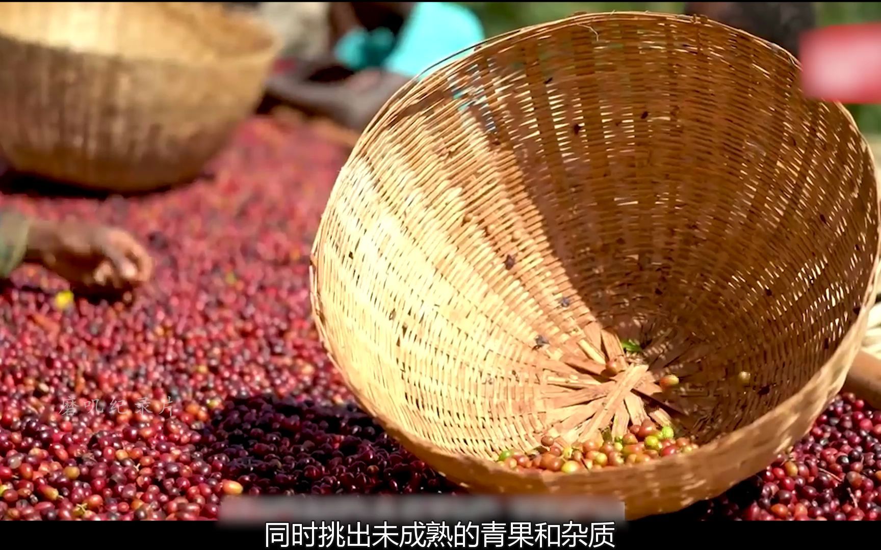 你知道咖啡是怎么制作出来的吗