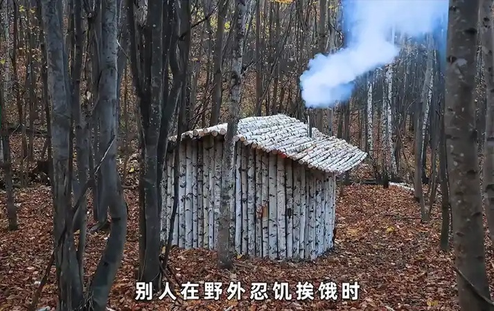 老马做了一个纯桦木小屋,还吃死了野生苹果