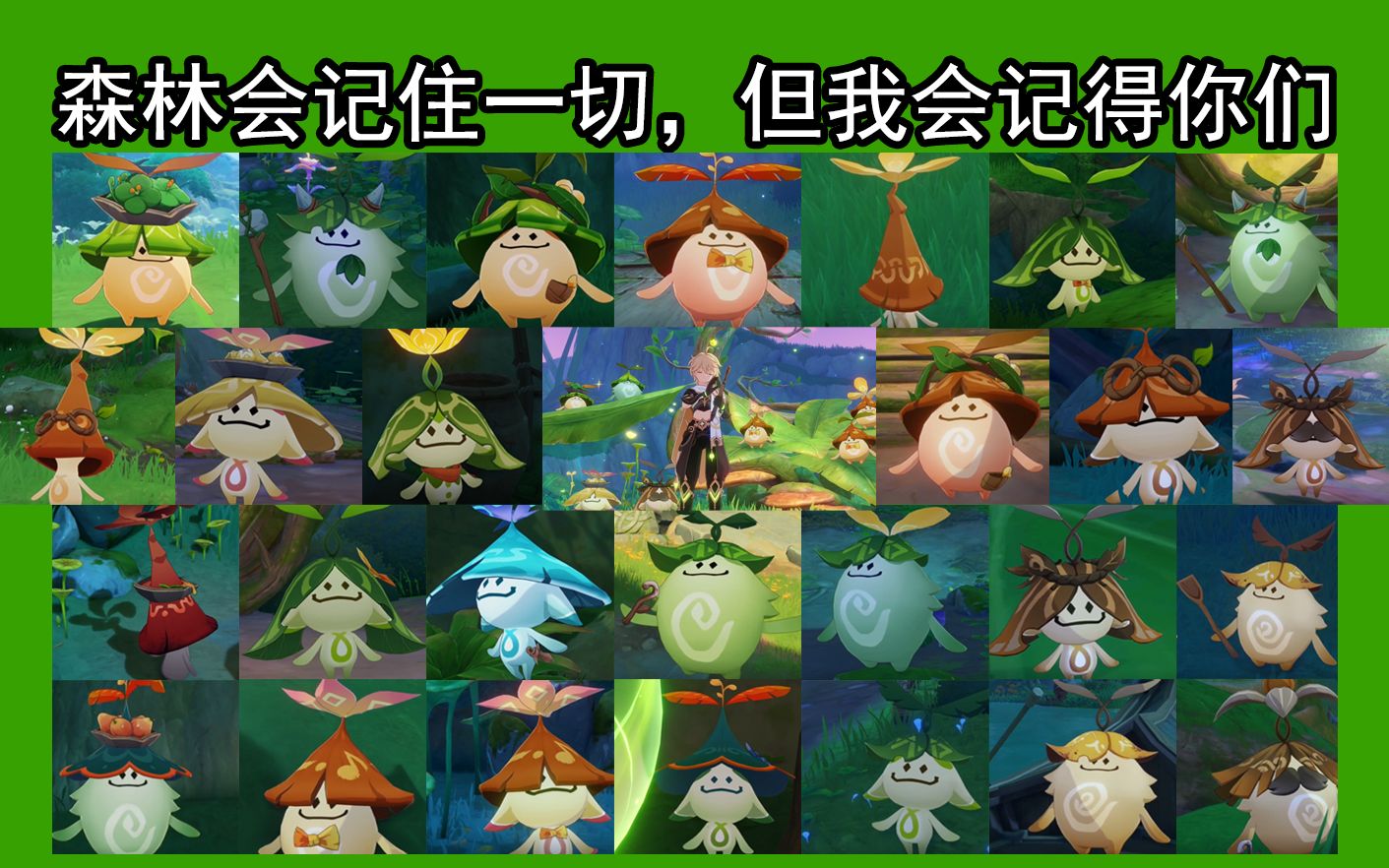 那菈还记得它们的名字吗?兰那罗名称收集!