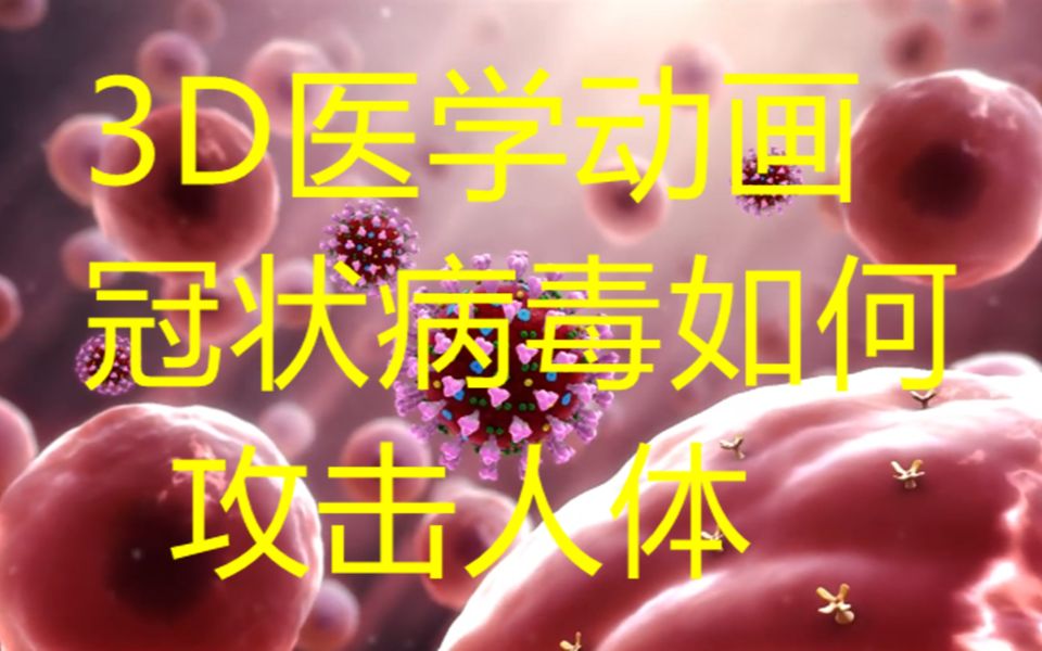 虽然 2019 新型冠状病毒的确切作用机制尚不清楚,但 3D 结构已经公布;