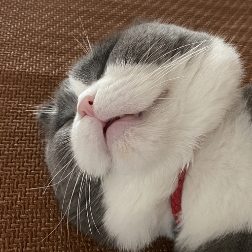 肖恩_ション 