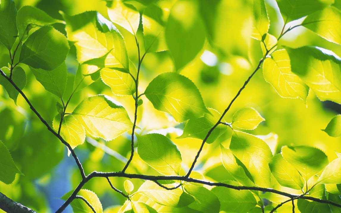 c语言变参函数教学视频 c 语言入门详解迅雷下载 明解c语言入门篇和...