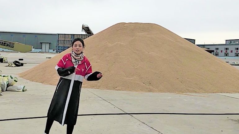 你知道水稻是怎样变成大米的吗?需要多少道工序?小丽带你去看看