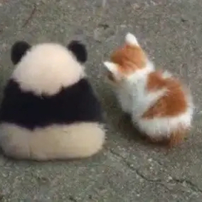 儒雅随和的牧羊人 