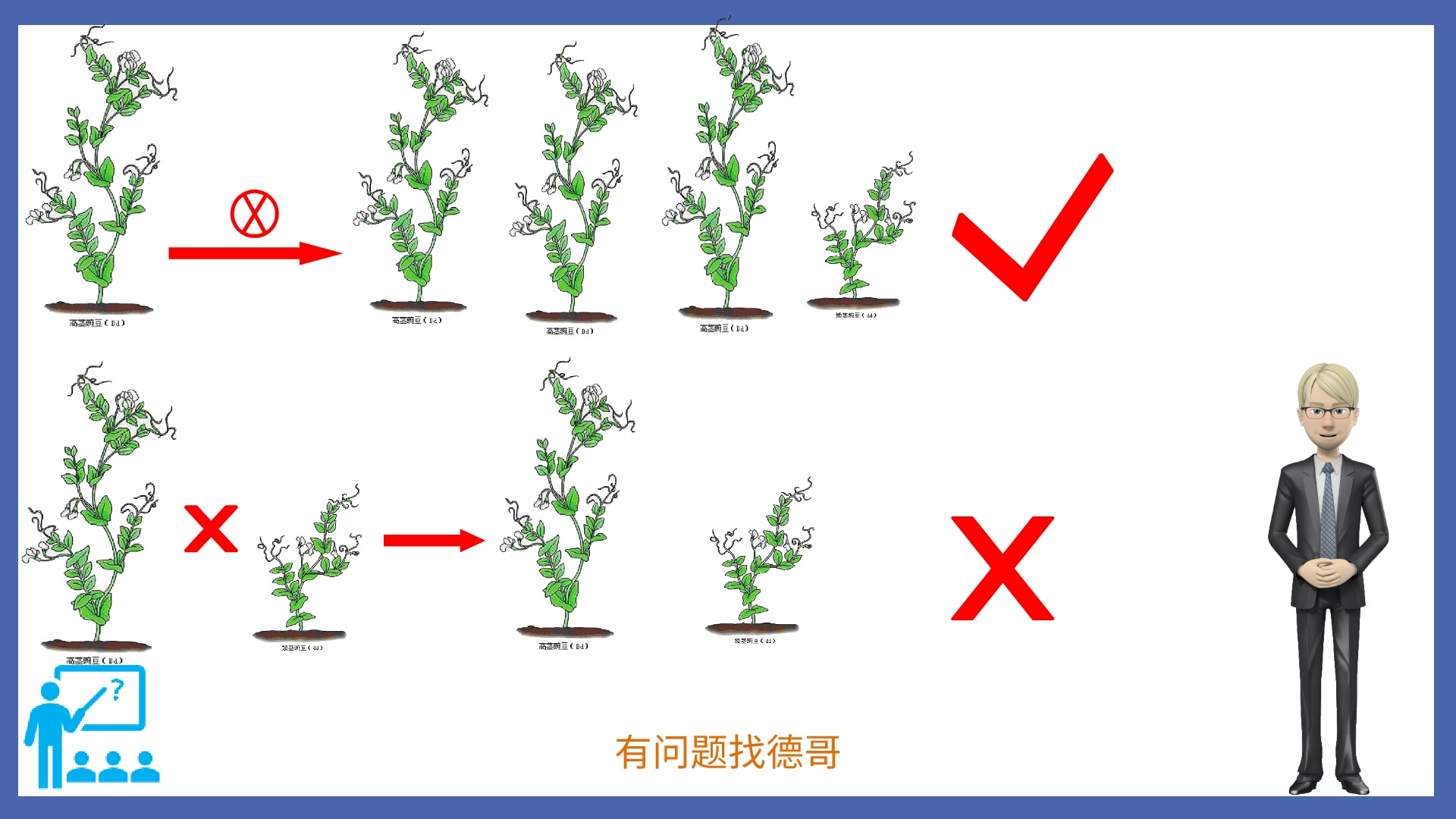 性状分离的理解