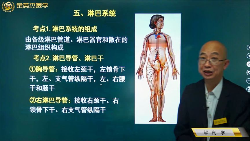 临床解剖学07脉管系统05淋巴系统01组成,淋巴导管、淋巴干的构成