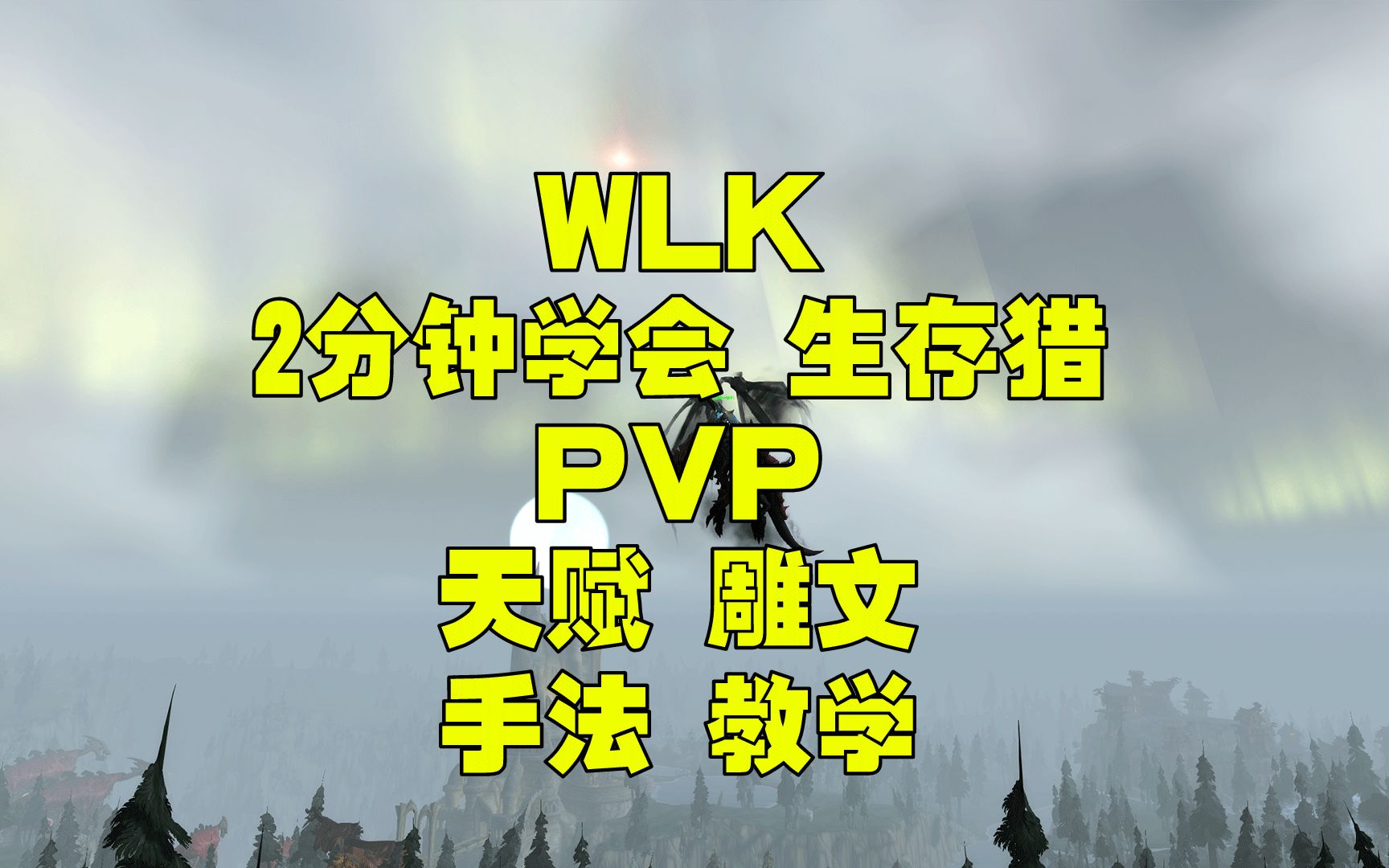 魔兽世界巫妖王之怒WLK 3.4生存猎PVP天赋雕文顶级手法教学