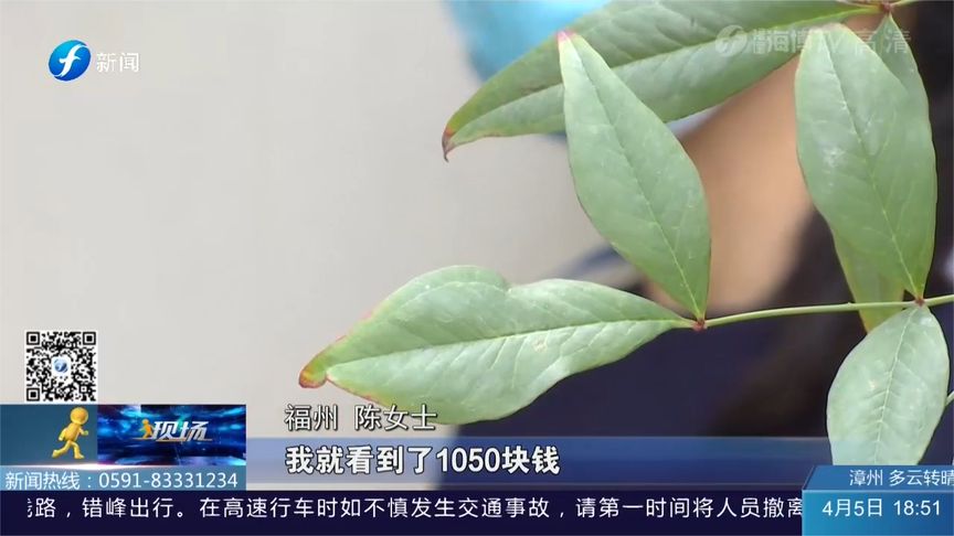 被人拉进微信群,女子一系列操作后,直接损失了4万元!|现场